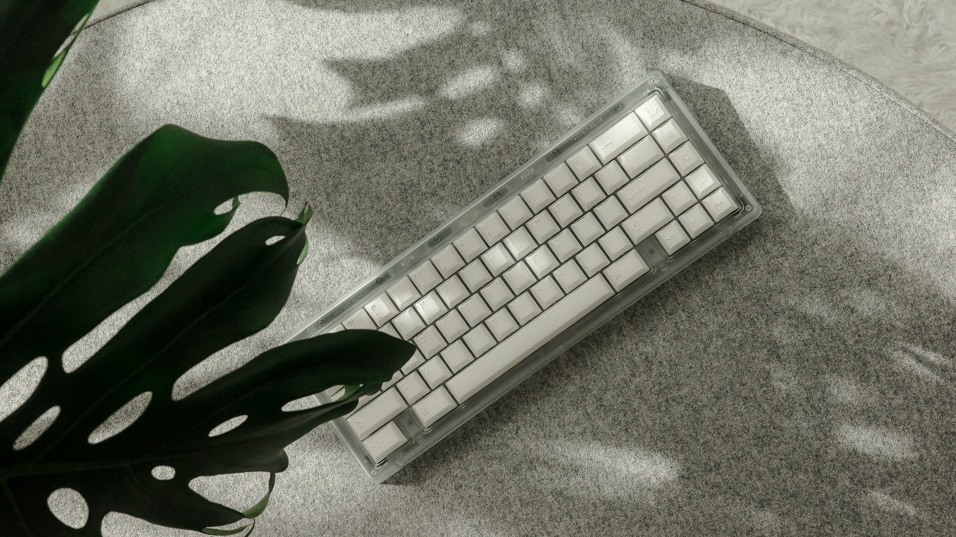 X-Ray – Omnitype®