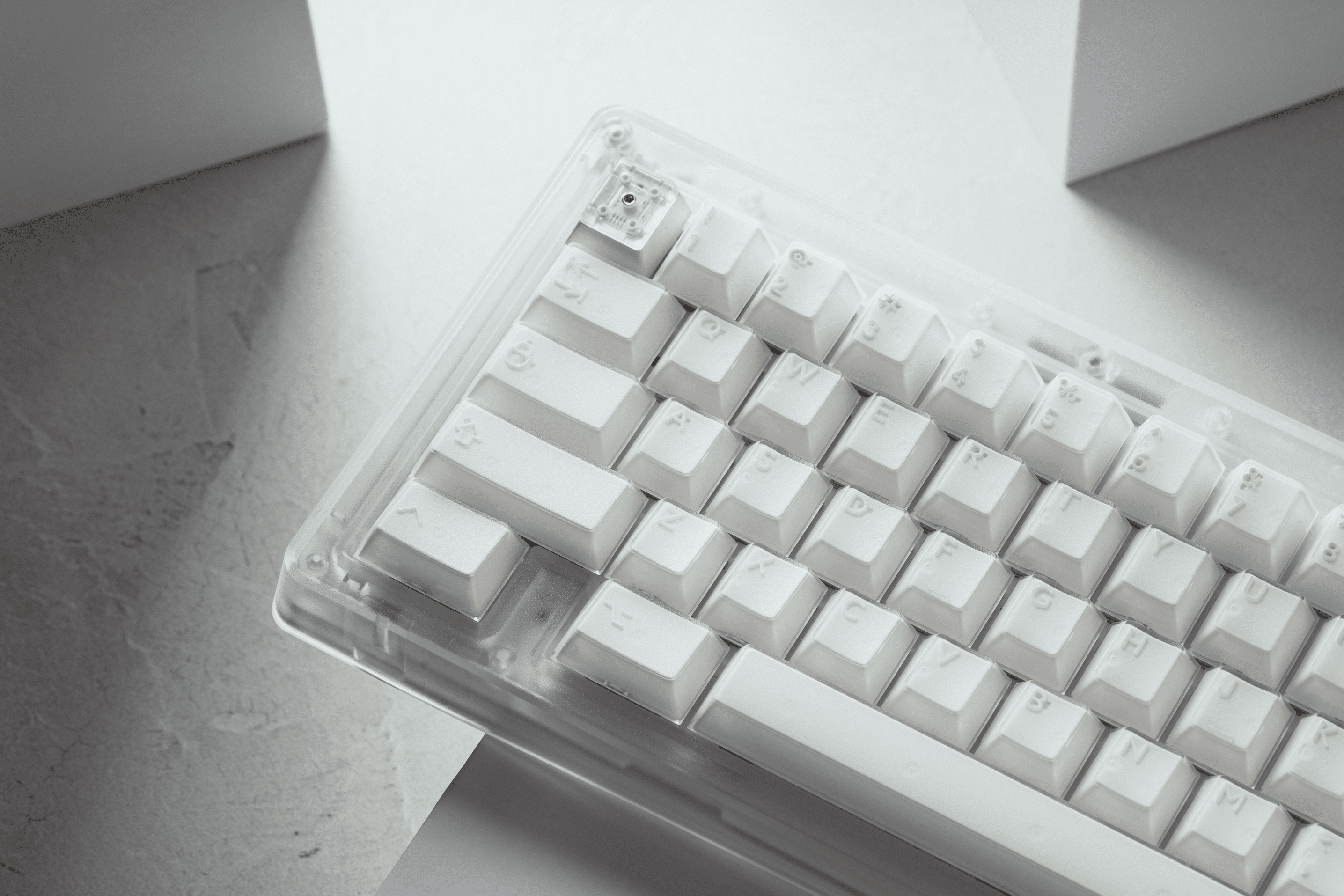 PBTfans X-Ray – Omnitype™