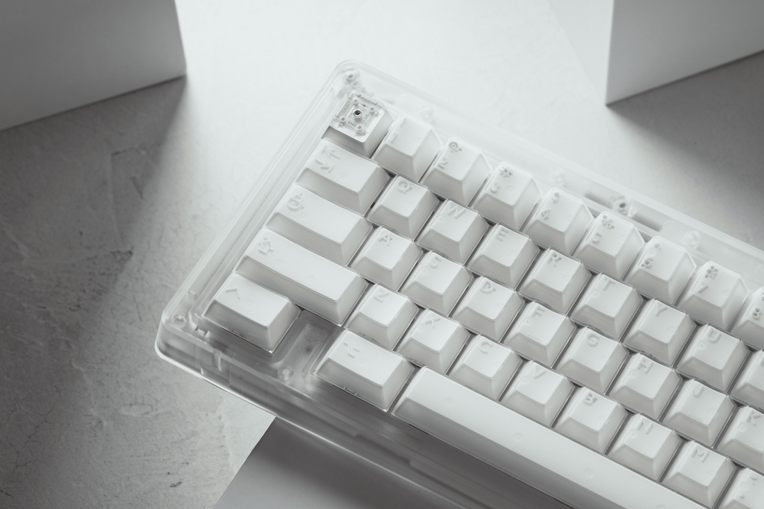 PBTfans X-Ray – Omnitype™