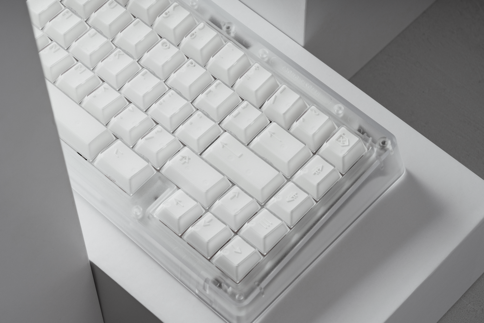 PBTfans X-Ray – Omnitype®