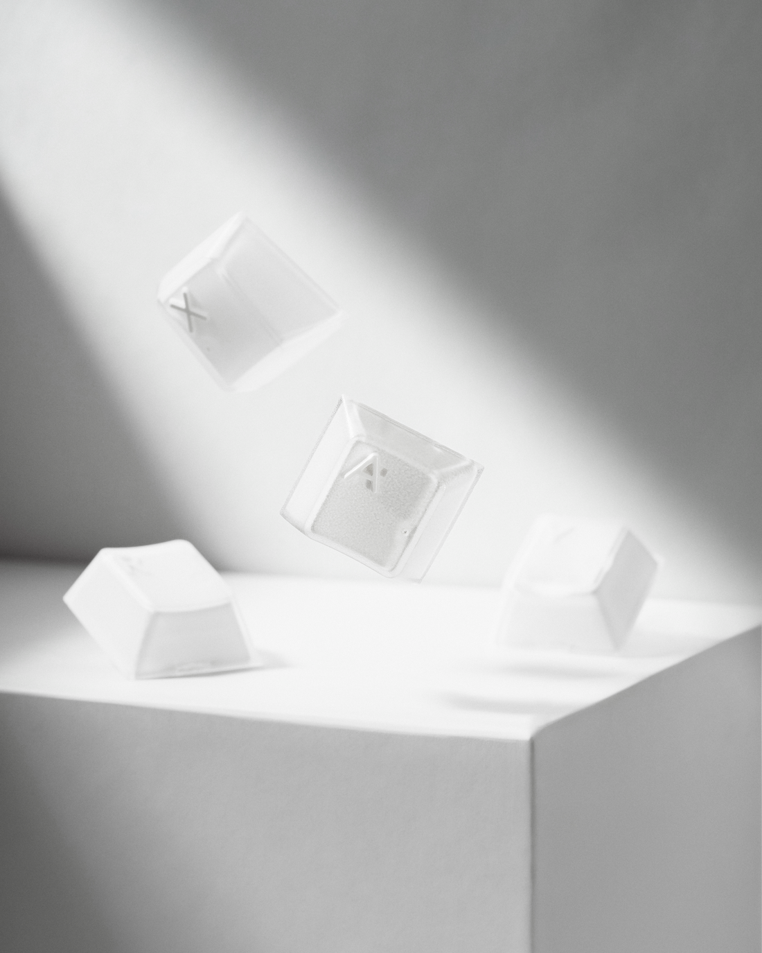 PBTfans X-Ray – Omnitype®