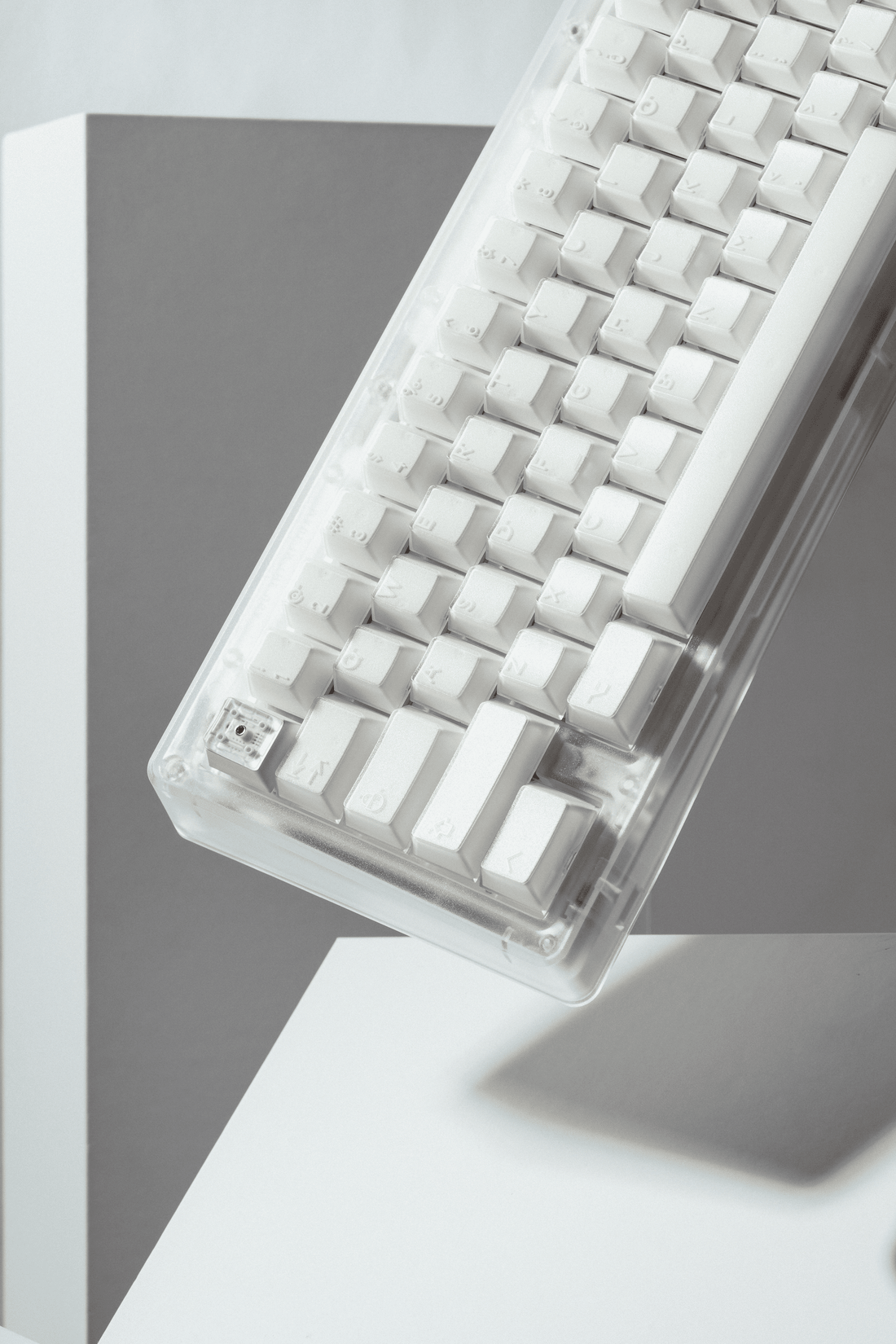 PBTfans X-Ray – Omnitype™