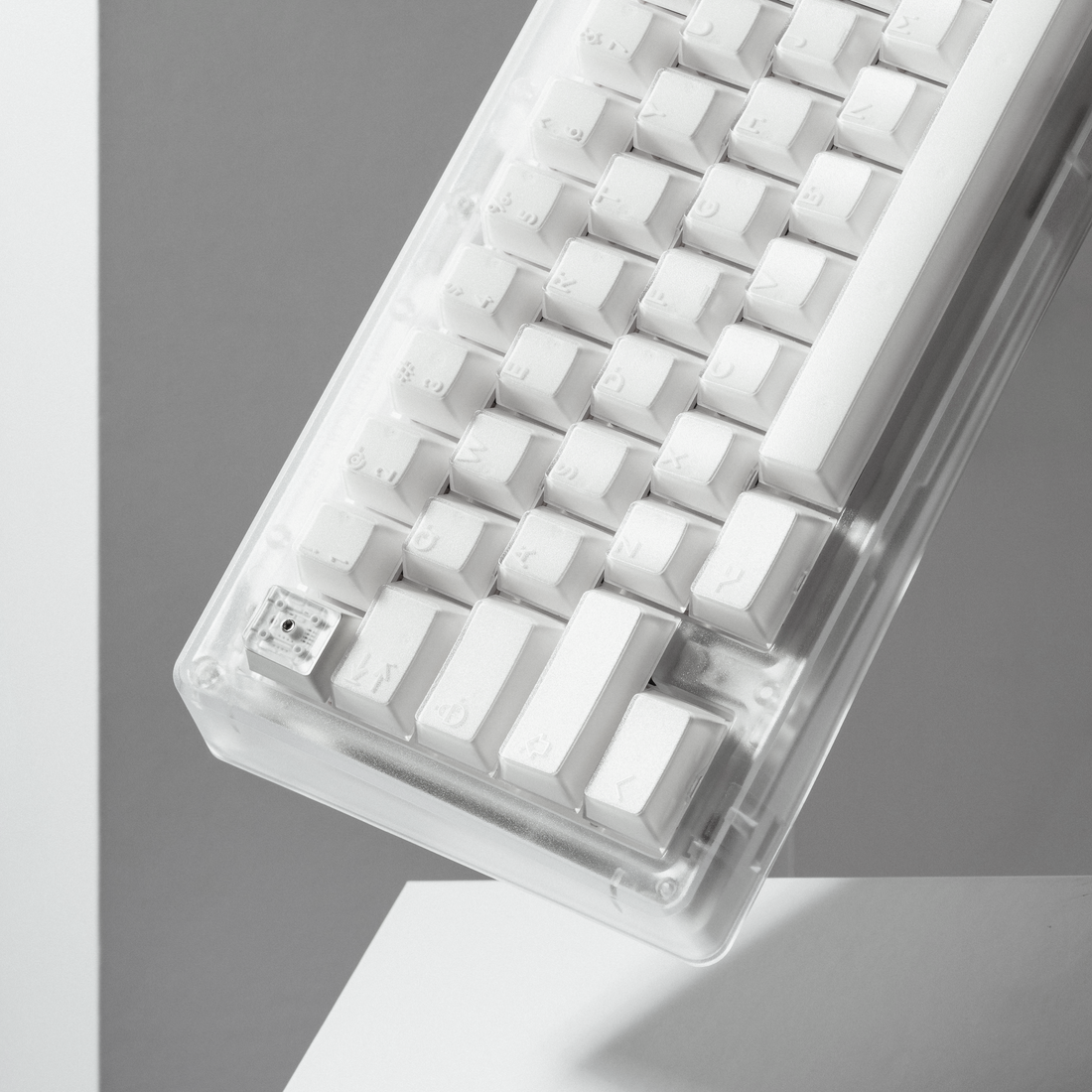 PBTfans X-Ray – Omnitype®