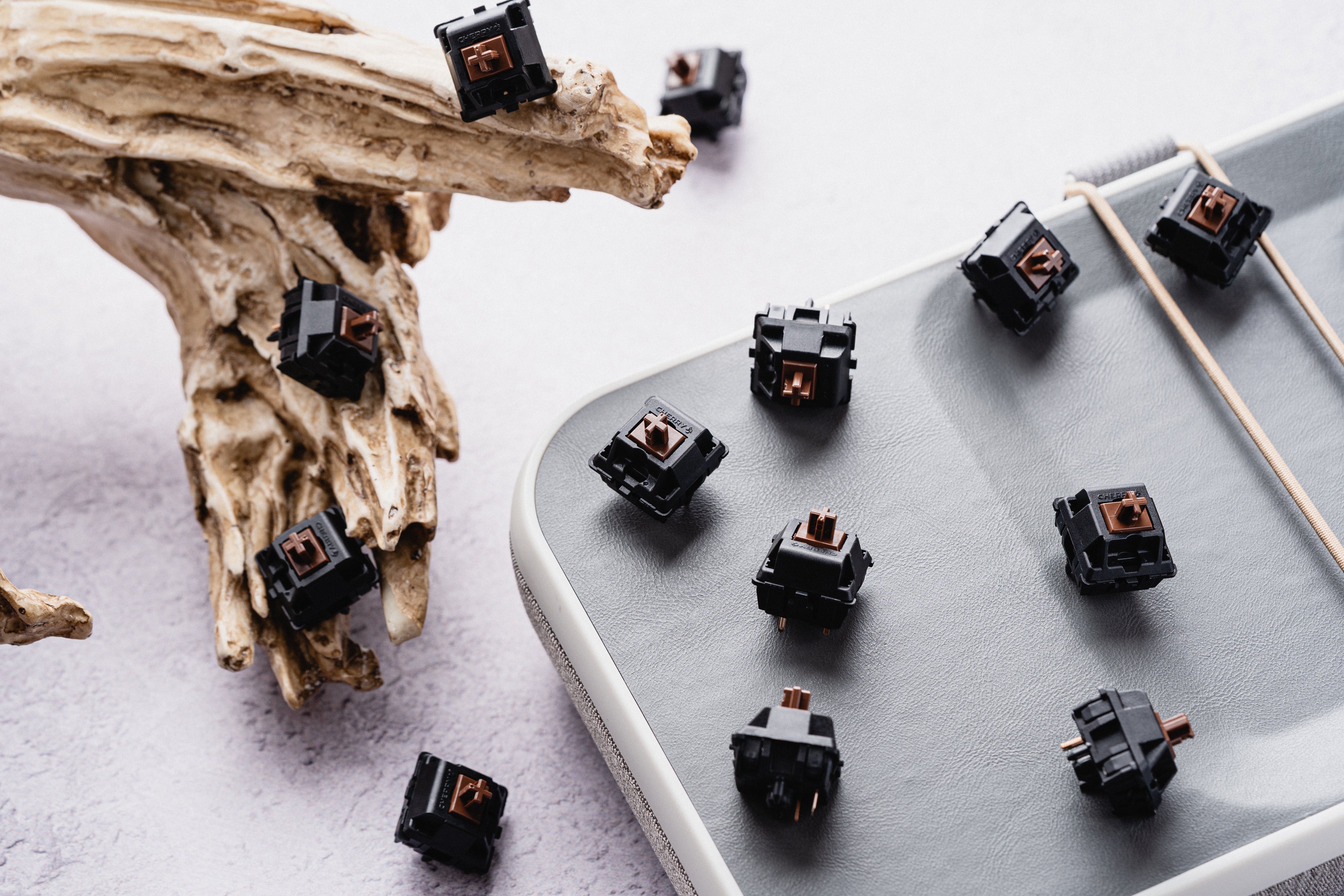 MX2A Brown Tactile Switches – Omnitype®