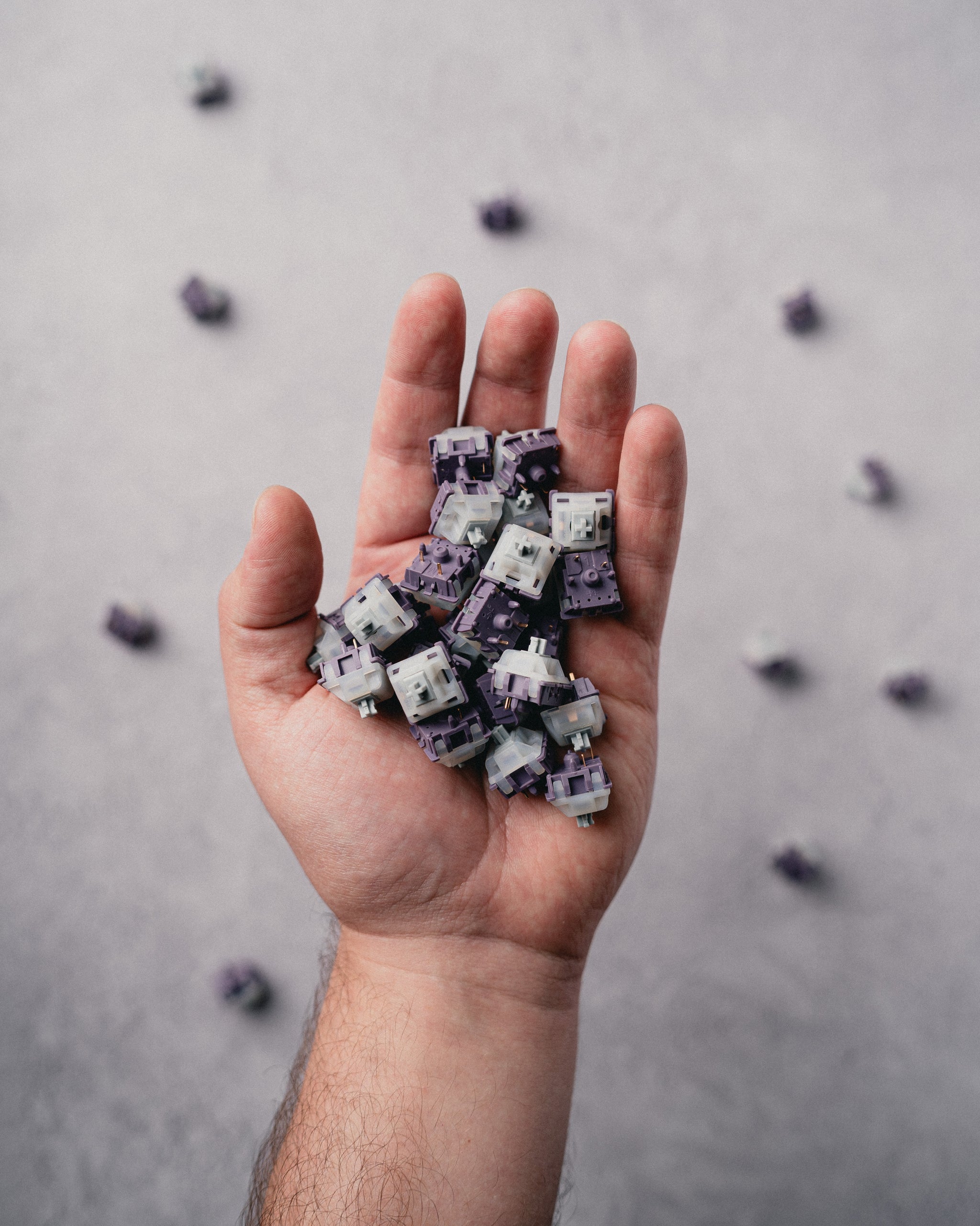 Sage Linear Switches – Omnitype®