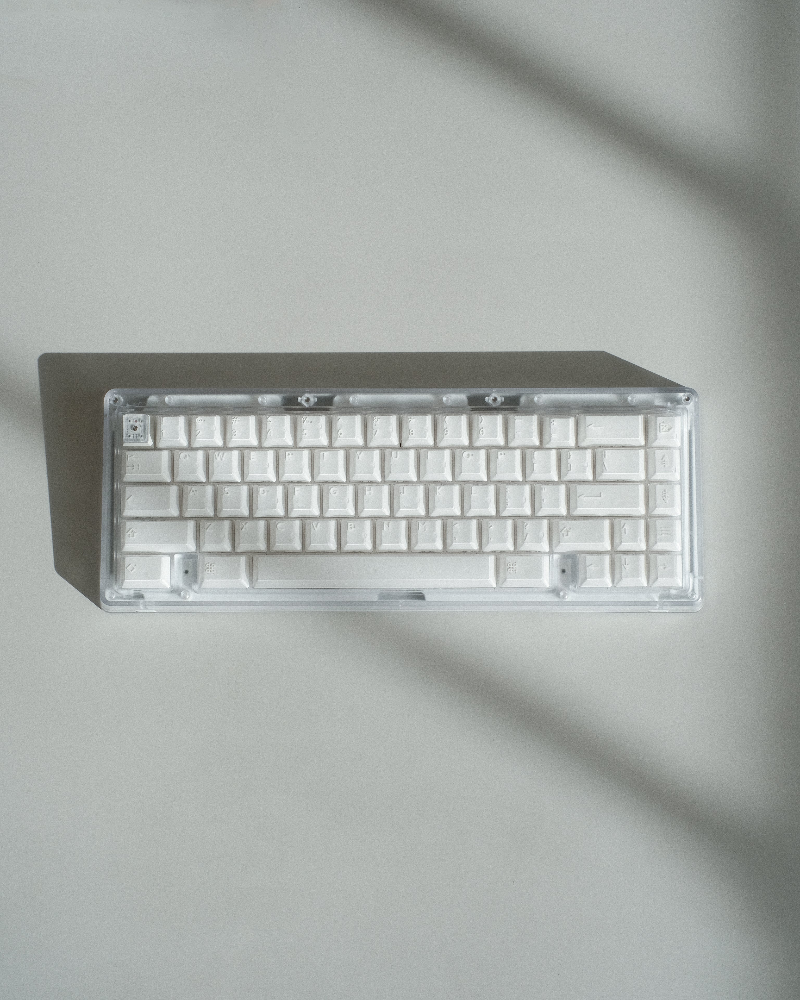 Bauer® Lite / X-Ray Edition – Omnitype®