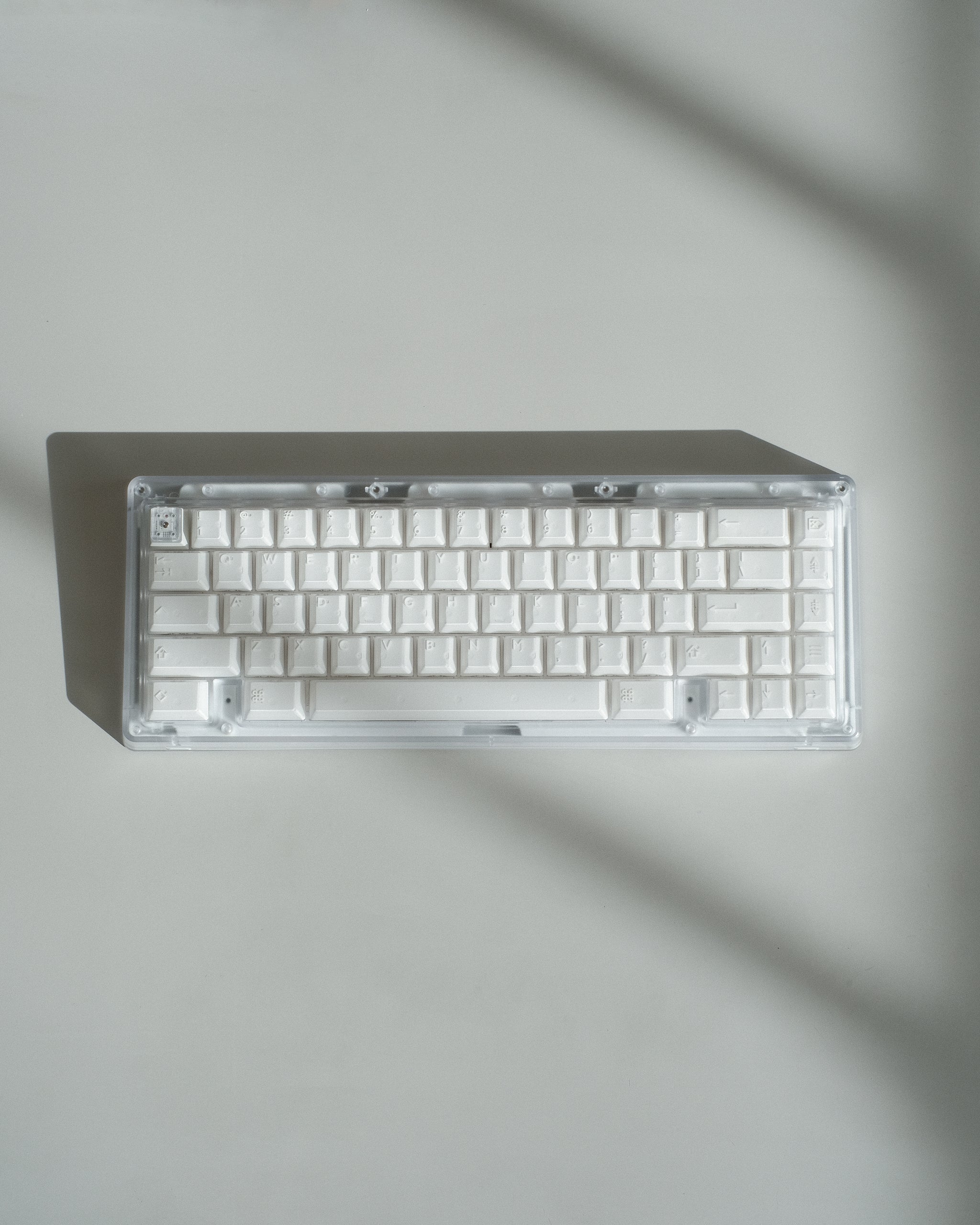 Bauer® Lite / X-Ray Edition – Omnitype®