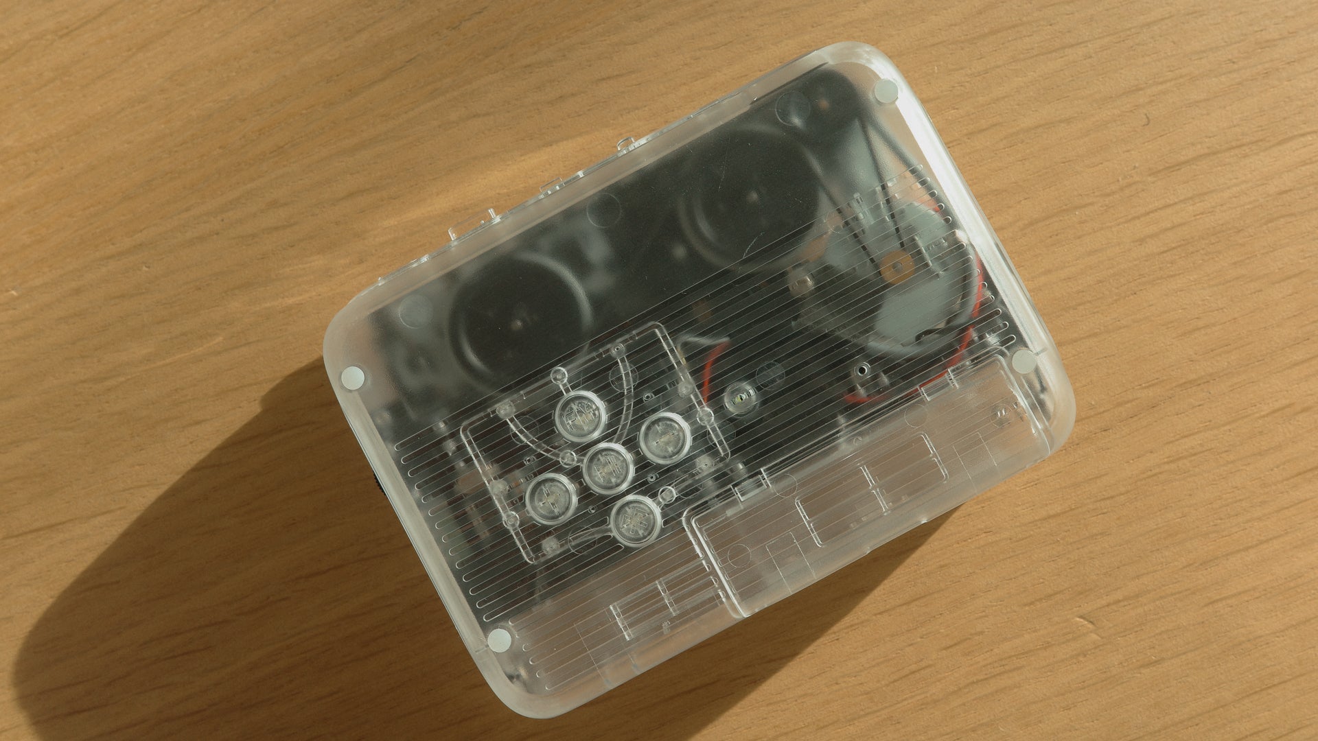 PBTfans X-Ray – Omnitype™